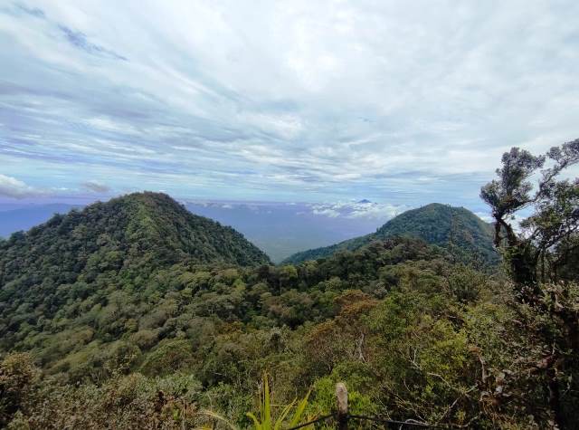 Puncak Sukmo Ilang, Lembah Tanpa Daun Gugur – krakatau